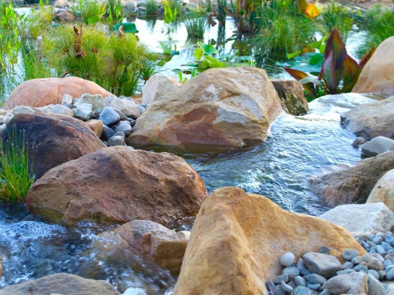Why Choose Us | BioNova® Natural Pools: North America’s Leader